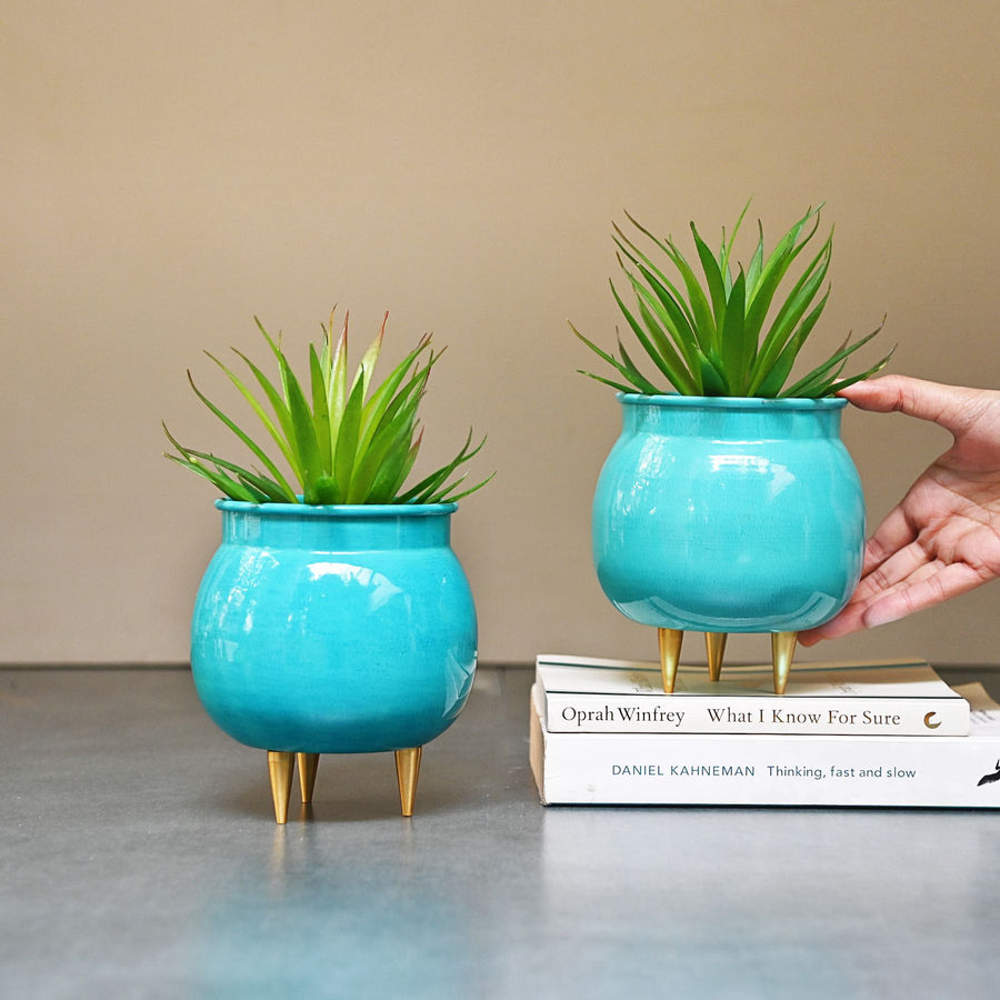 Buy Beautiful Indoor Planters Online - Mora Taara